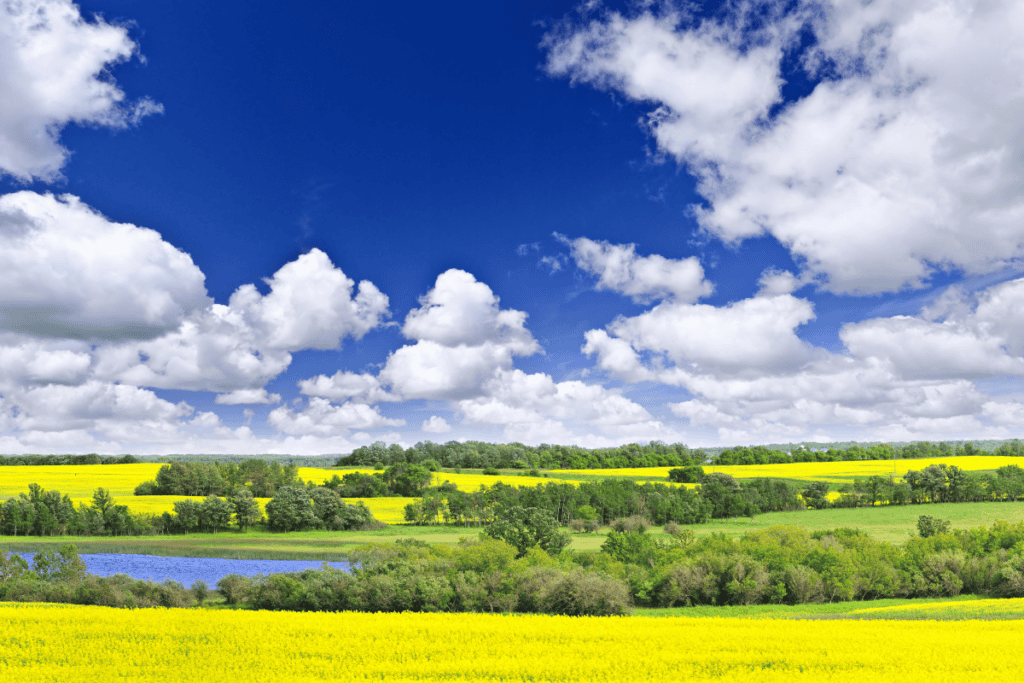 Saskatchewan's carbon sinks - Water Rangers