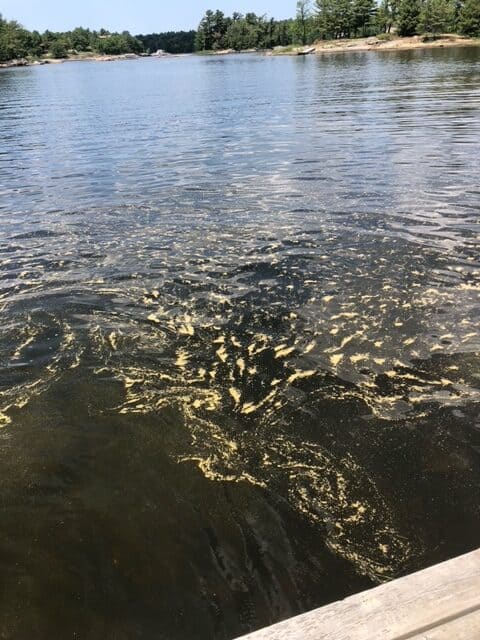 Qualitative Data - Water Rangers
